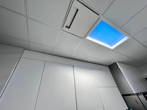 Quality Artificial LED Skylight & LED Skylight Panel factory from China