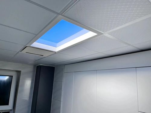 Quality Artificial LED Skylight & LED Skylight Panel factory from China