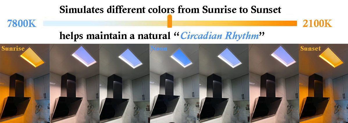 Quality Artificial LED Skylight & LED Skylight Panel factory from China