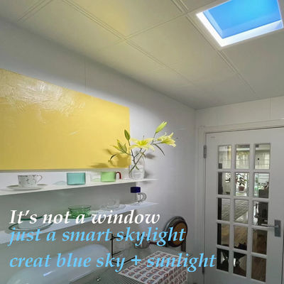 Faux Skylight Panels factory, Buy good quality Faux Skylight Panels ...
