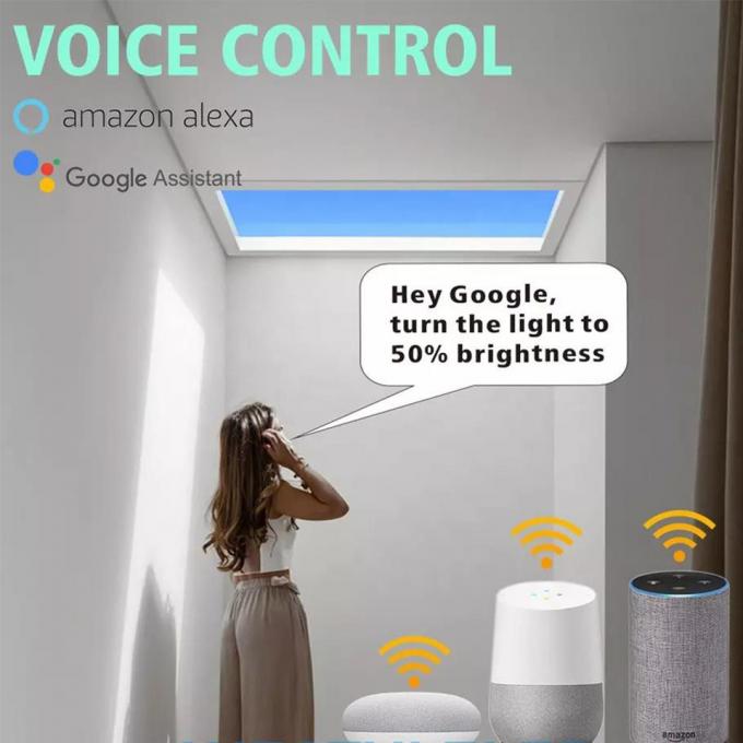 Remote Control LED Skylight Panel 220V 60x120 Durable Artificial Sunlight