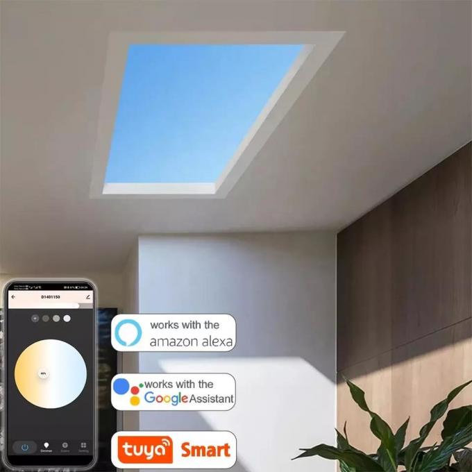 Remote Control LED Skylight Panel 220V 60x120 Durable Artificial Sunlight